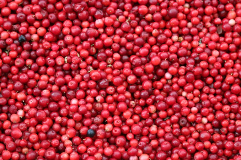 Turna Yemişi (Kızılcık, Cranberry) Nedir, Ne İşe Yarar? - Self Cure