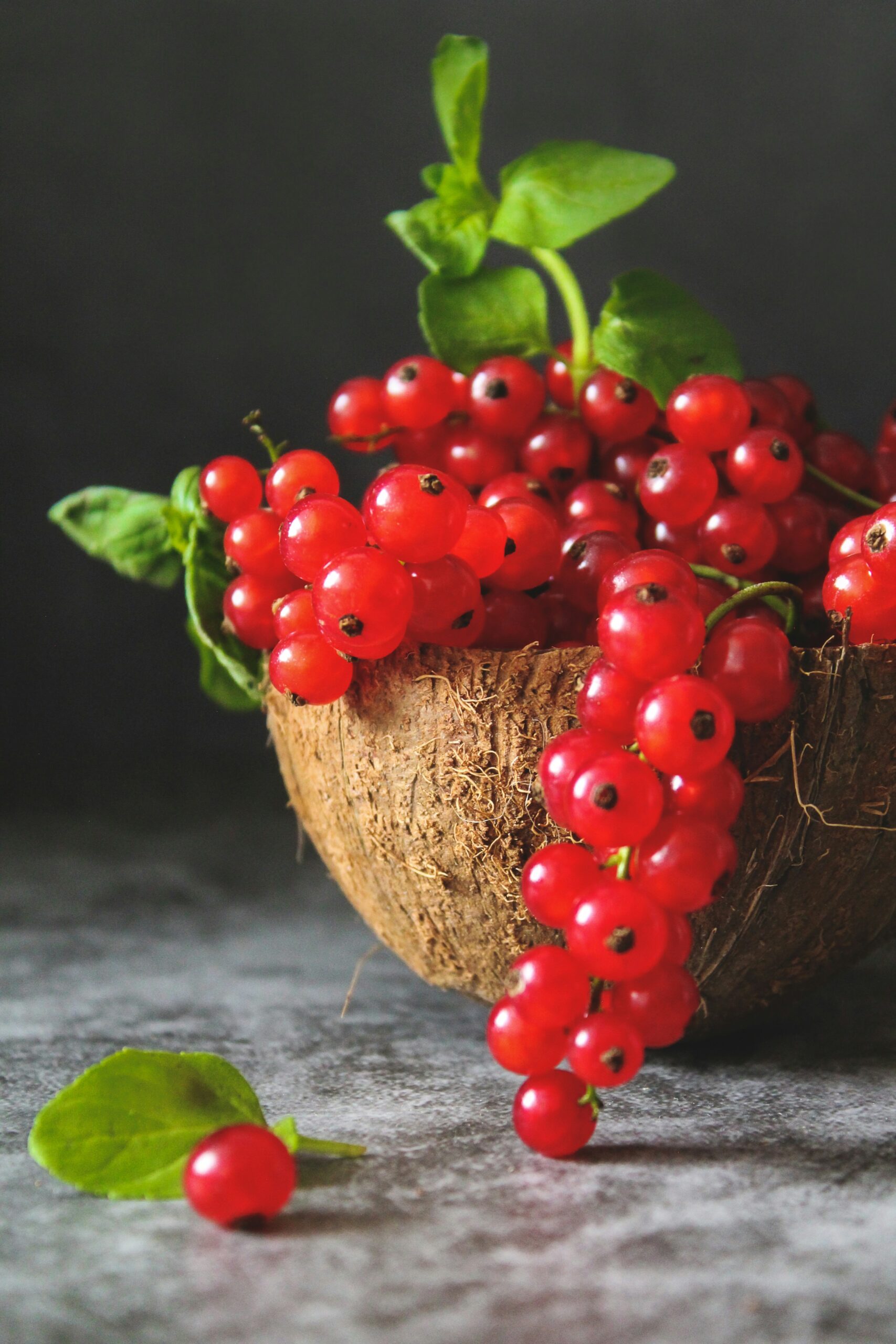 Turna Yemişi (Kızılcık, Cranberry) Nedir, Ne İşe Yarar? - Self Cure
